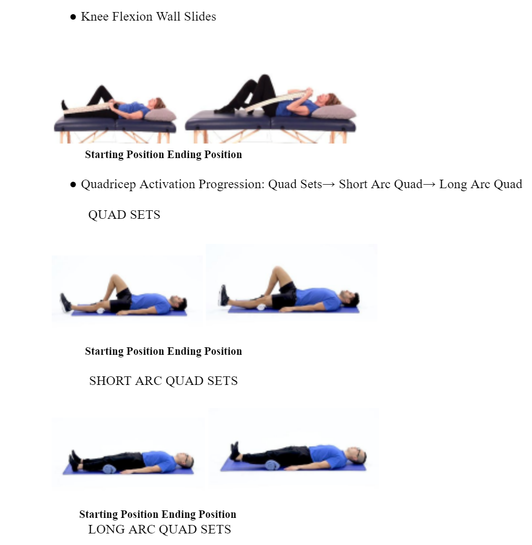 LCL Sprain - Protailored Physical Therapy